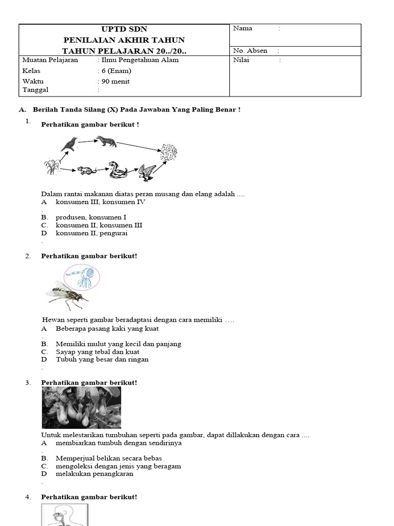 Soal Pat Ipa Kelas 6 K2013 | PDF