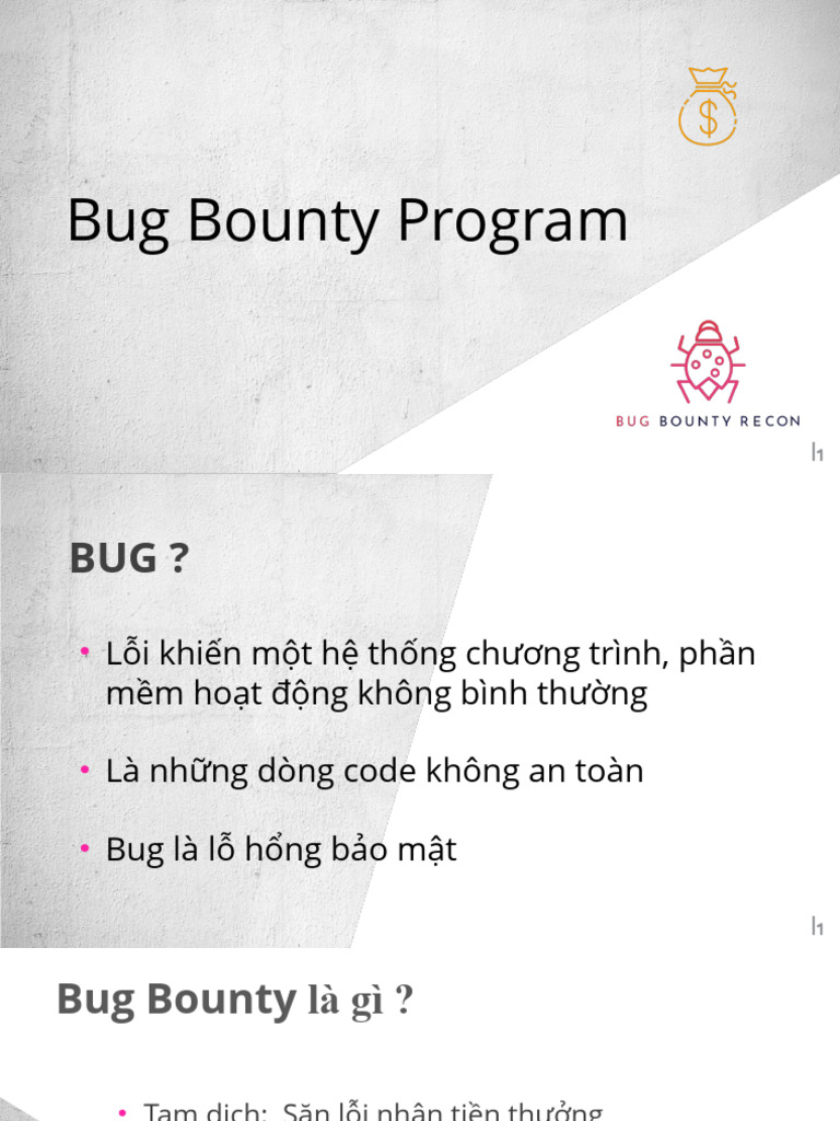 Bug Bounty Journey - Public | PDF