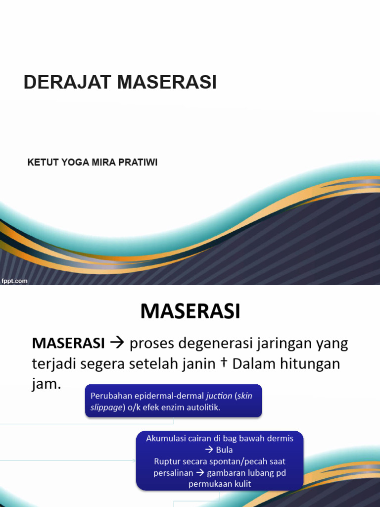 Understanding Fetal Maceration Stages | PDF | Midwifery | Motherhood