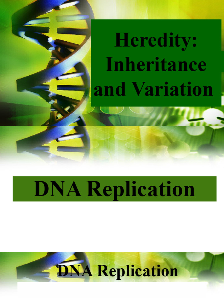 3 5 2 Heredity and Inheritance (DNA Replication) | PDF | Dna Replication | Dna