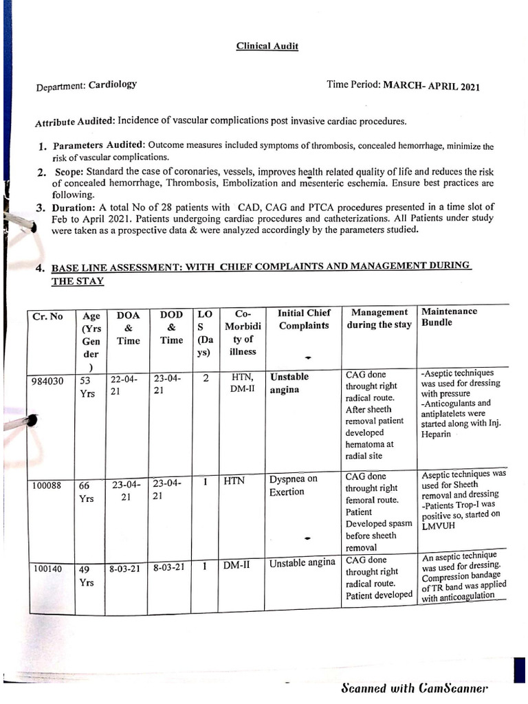 Clinical Audit Sample | PDF