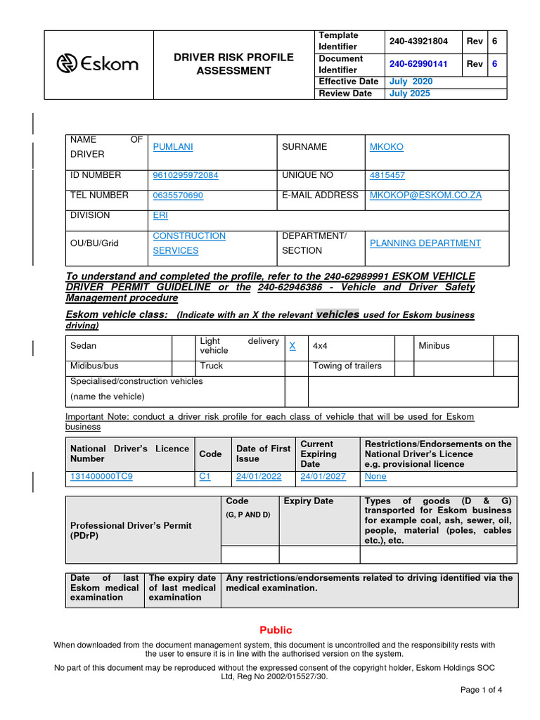 Driver Risk Profile Assessment Template - P | PDF | Driver's License | Risk