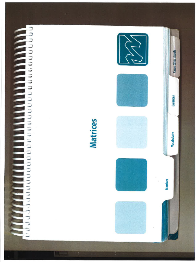 WISC V 1 2 Matrices | PDF