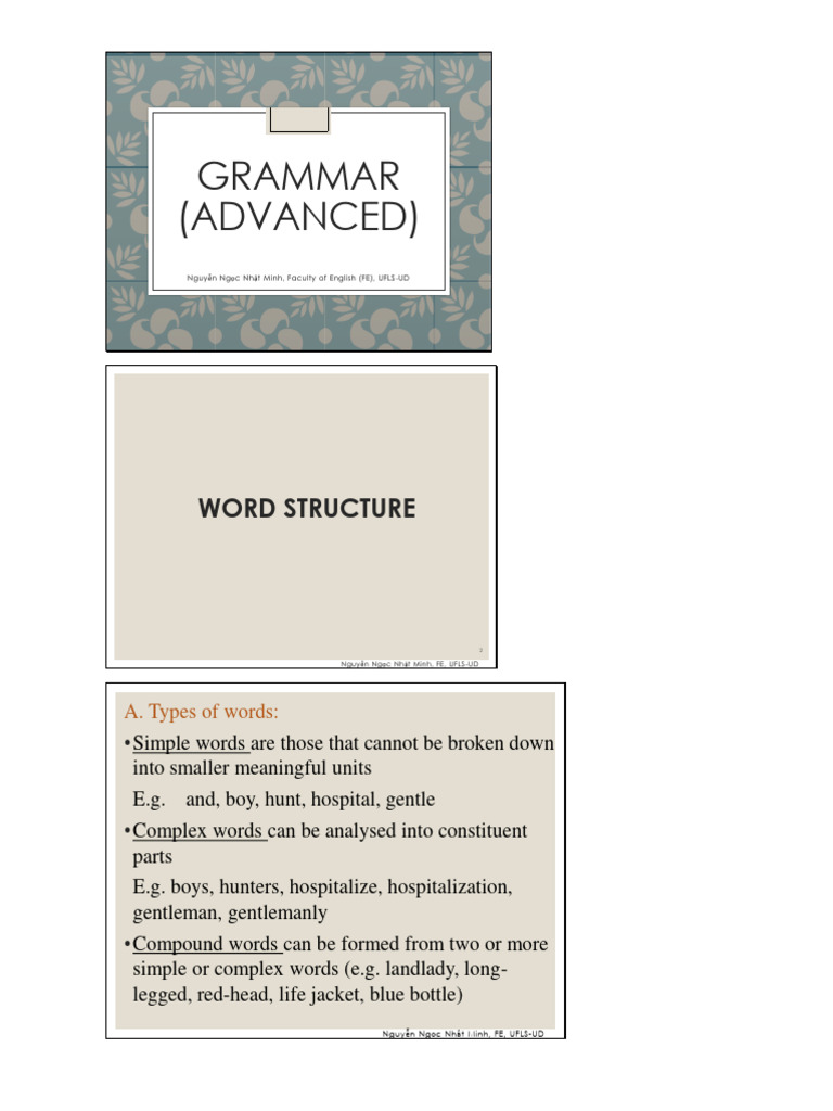 Slides 2 - Morpho (p2) | PDF | Word | Plural