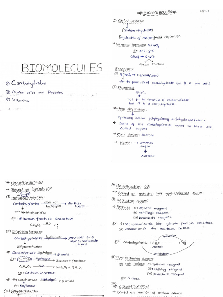 Biomolecules Notes | PDF