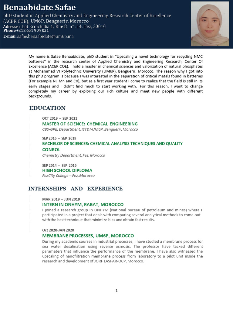 Mahir CV | PDF