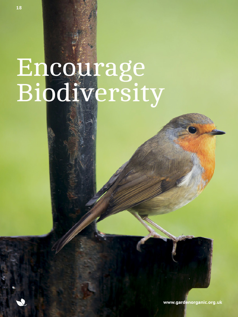 Garden Organic - POG - Revised Apr 19 - Biodiversity - 0 | PDF | Soil ...