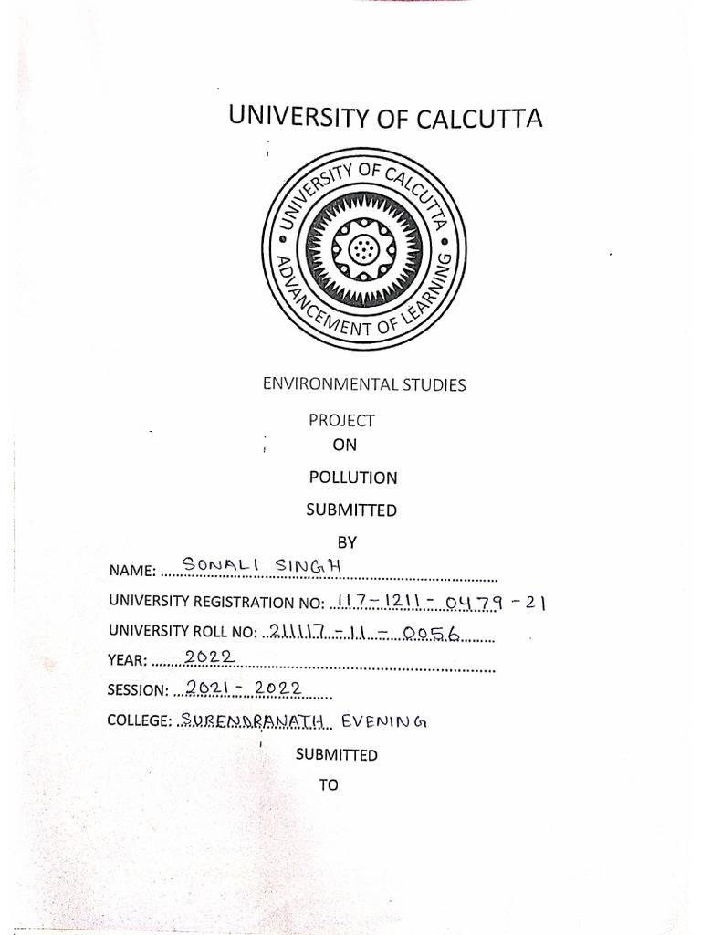 Pollution Project | PDF