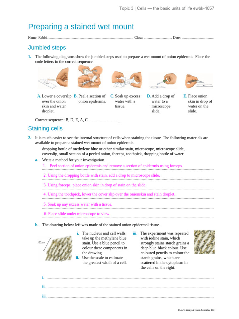 WS Preparing A Stained Wet Mount | PDF | Staining | Tissue (Biology)