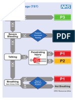 XN-L - Series Flagging Guide - 1399-lss - Rev3 | PDF | White Blood Cell | Granulocyte