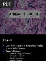 Animal Tissue Grade 10 Term 3 Notes Summaries | PDF