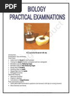 Iodine Starch Test Procedure and Results | PDF | Starch | Foods