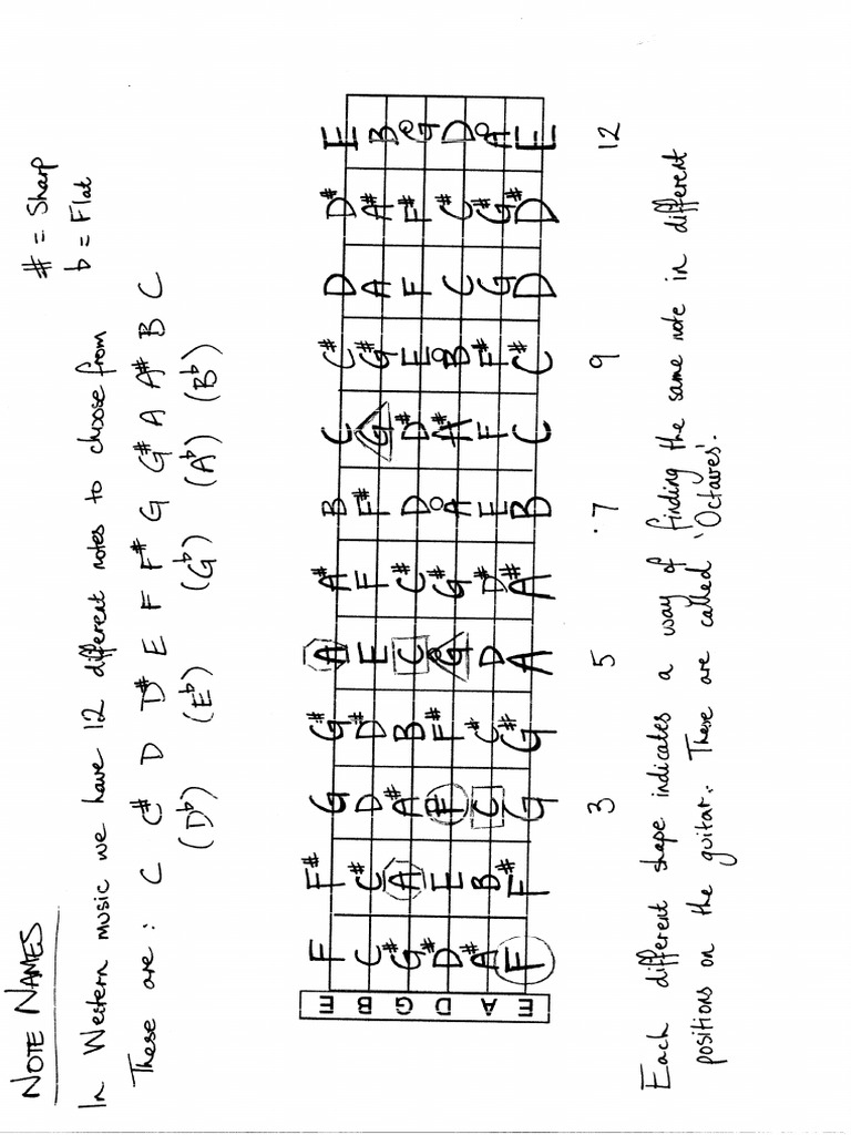 Notes On The Neck | PDF