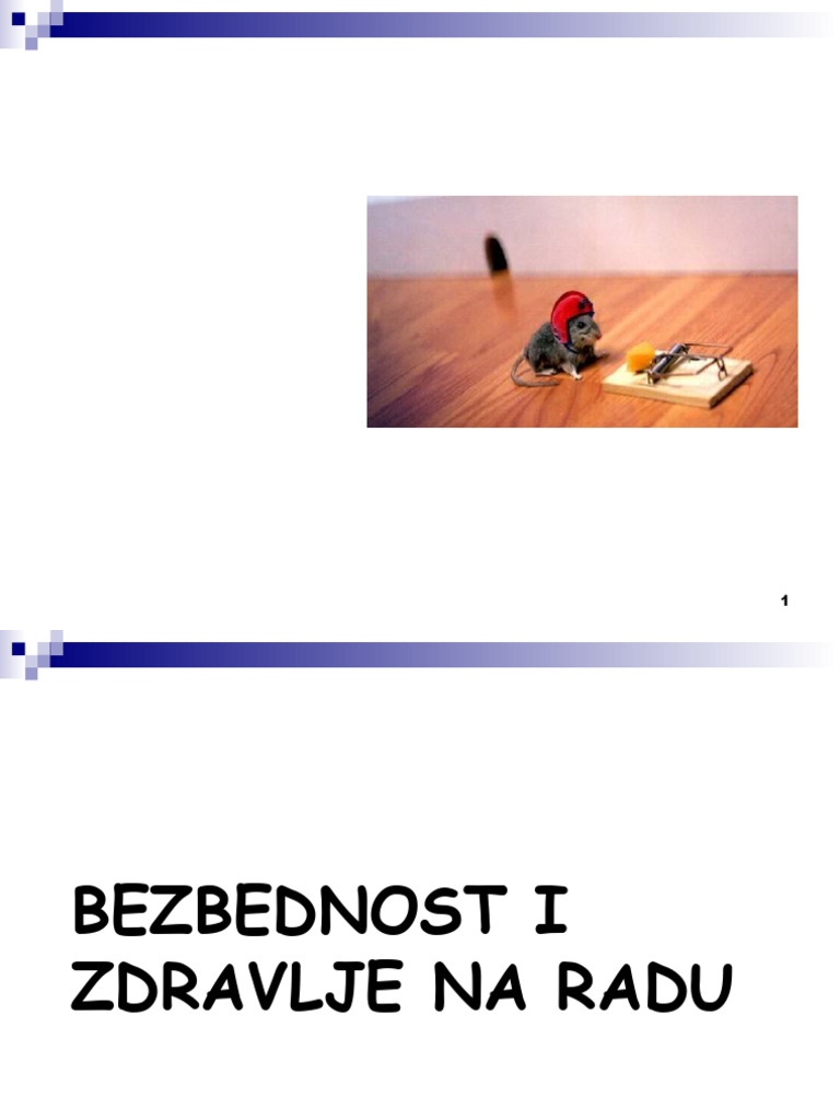 Osposobljavanje Zaposlenih Za BZNR | PDF