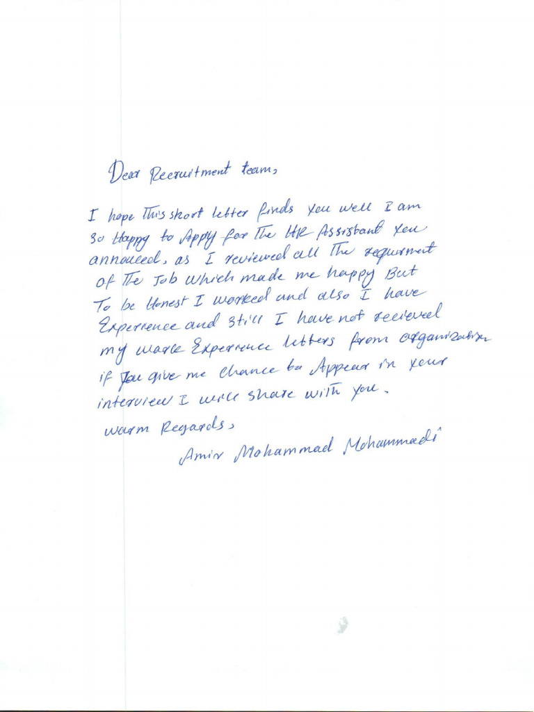 Amir's Experience Letter | PDF