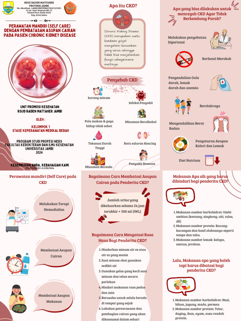 Leaflet Penyuluhan CKD KLP 1 KMB | PDF
