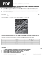 Magnification Worksheet | PDF | Units Of Measurement | Teaching Mathematics