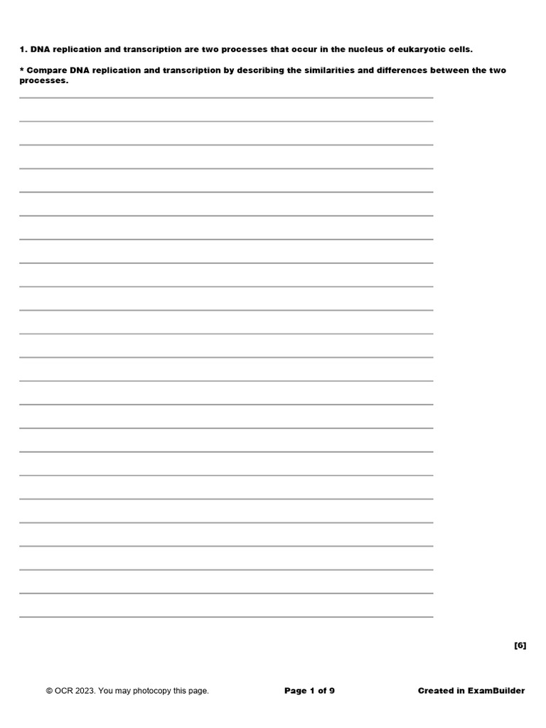 Protein Synthesis EQ With Answers | Download Free PDF | Gene | Nucleic ...