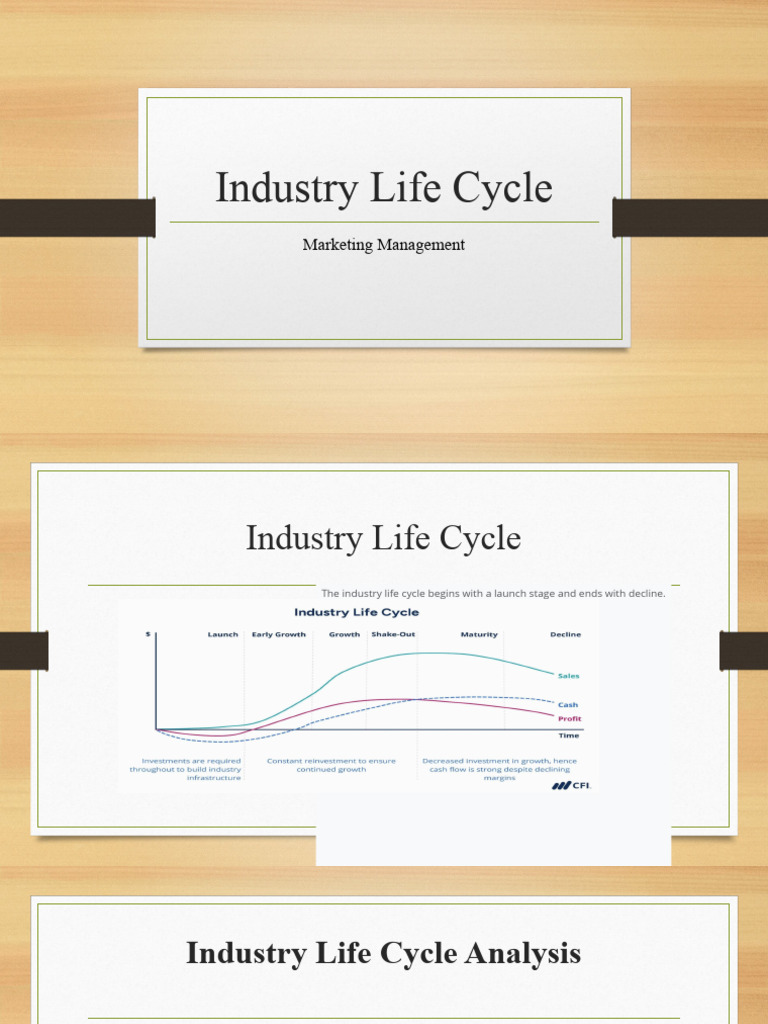 Industry Life Cycle | PDF | Business Economics | Economics