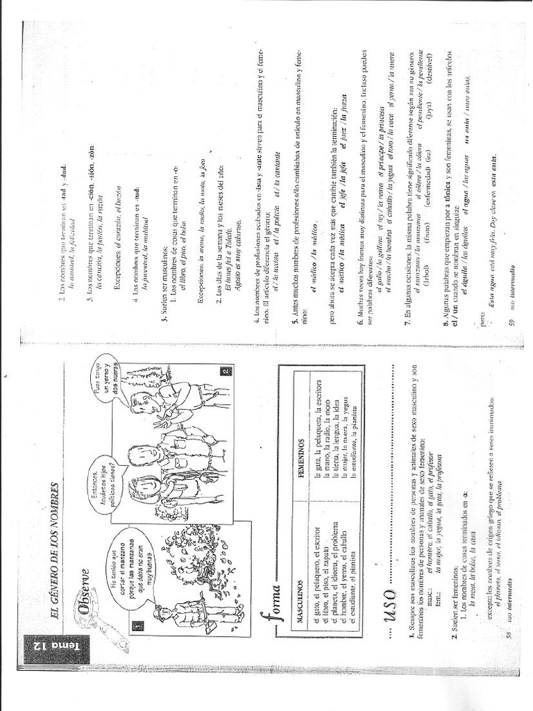 UGI-T12-El género de los nombres | PDF