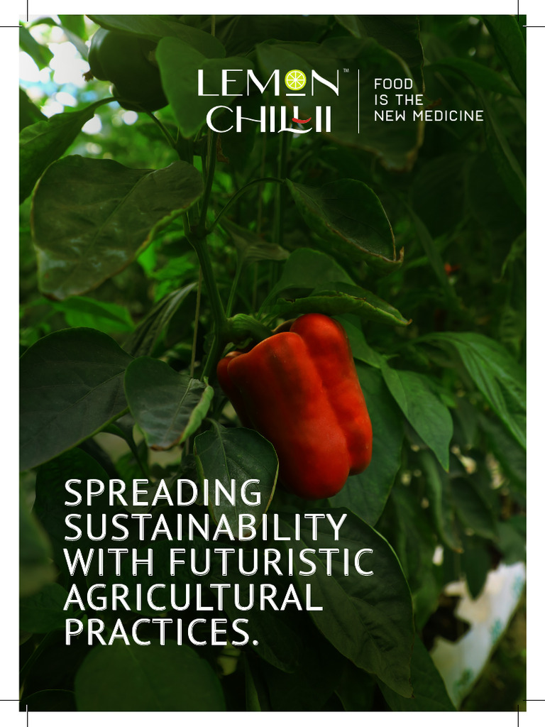Brochure Final | PDF | Chili Pepper | Zucchini