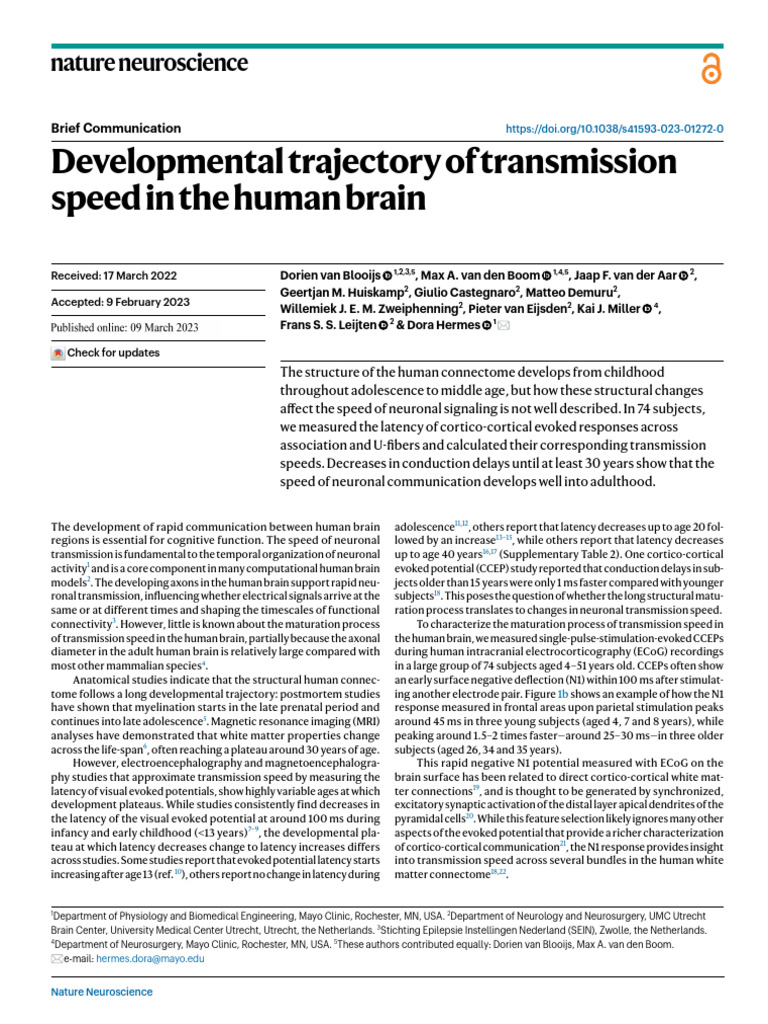 Development Speed Brain | PDF | Brain | Neuron