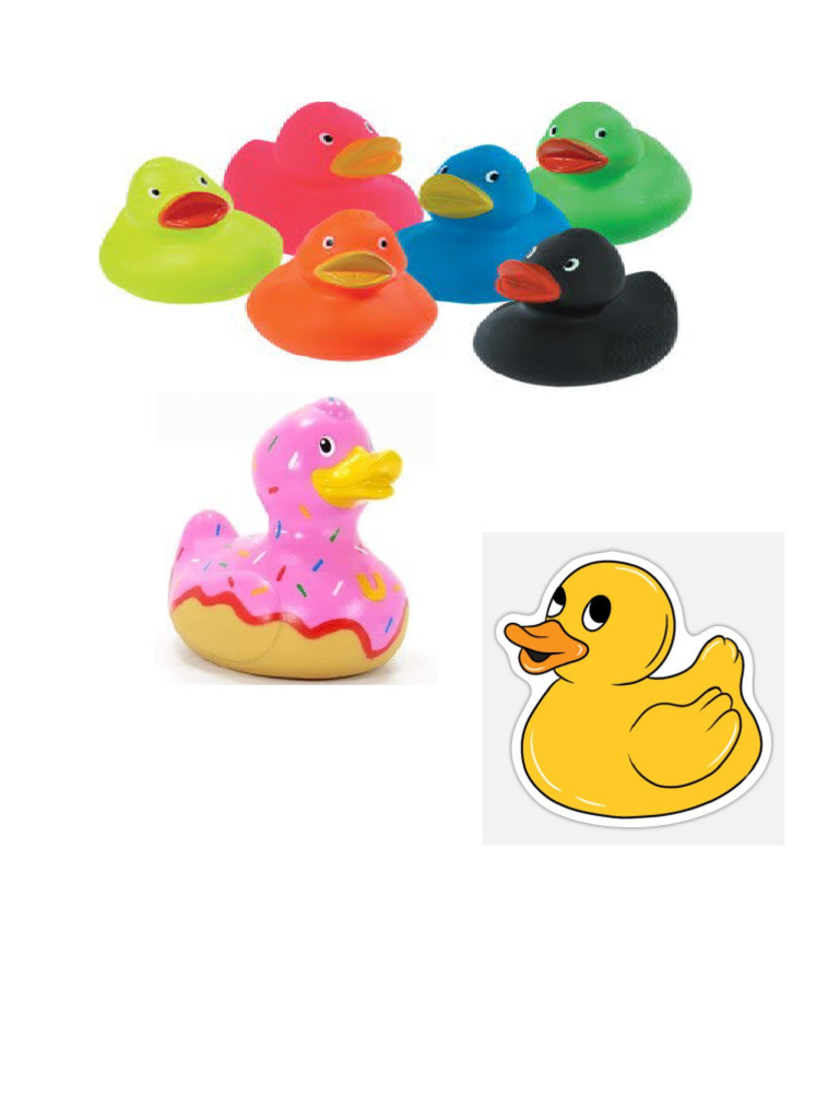 Ducks | PDF