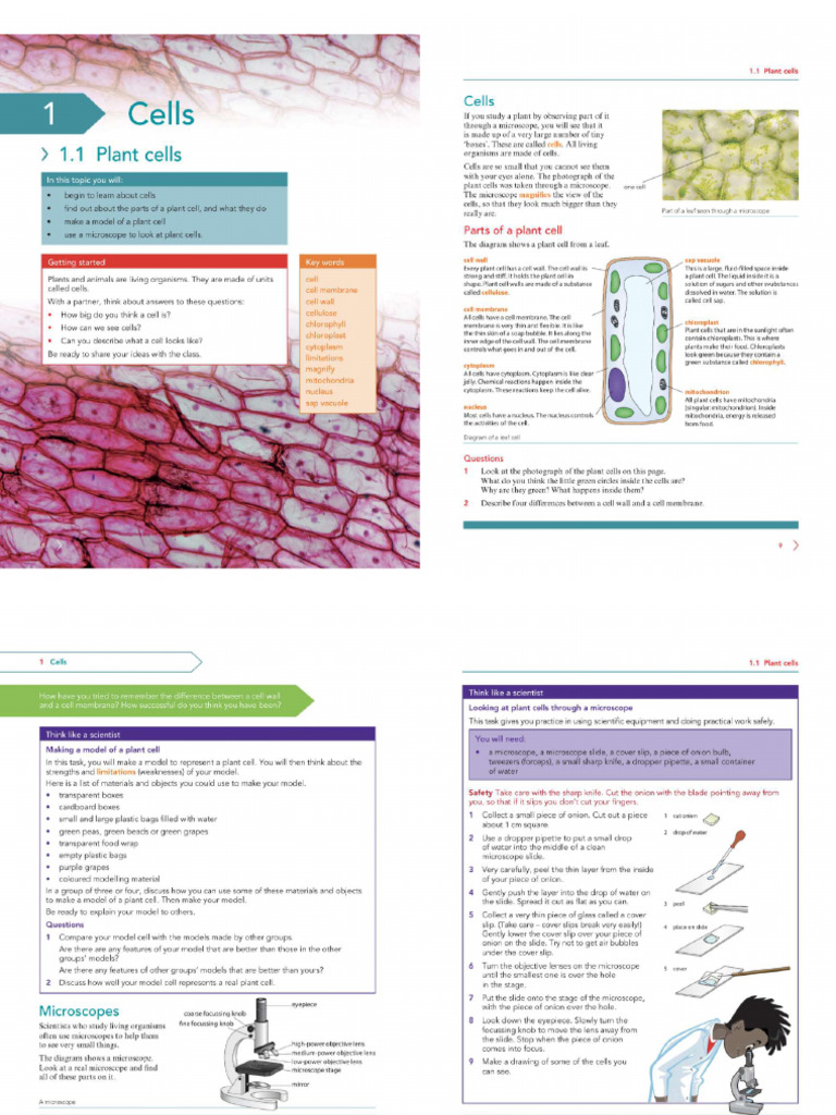 Learners Book Scan | PDF