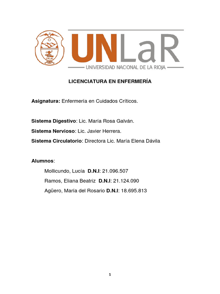 Licenciatura en Enfermería Mollicundo Lucía | PDF | Corazón | Vena