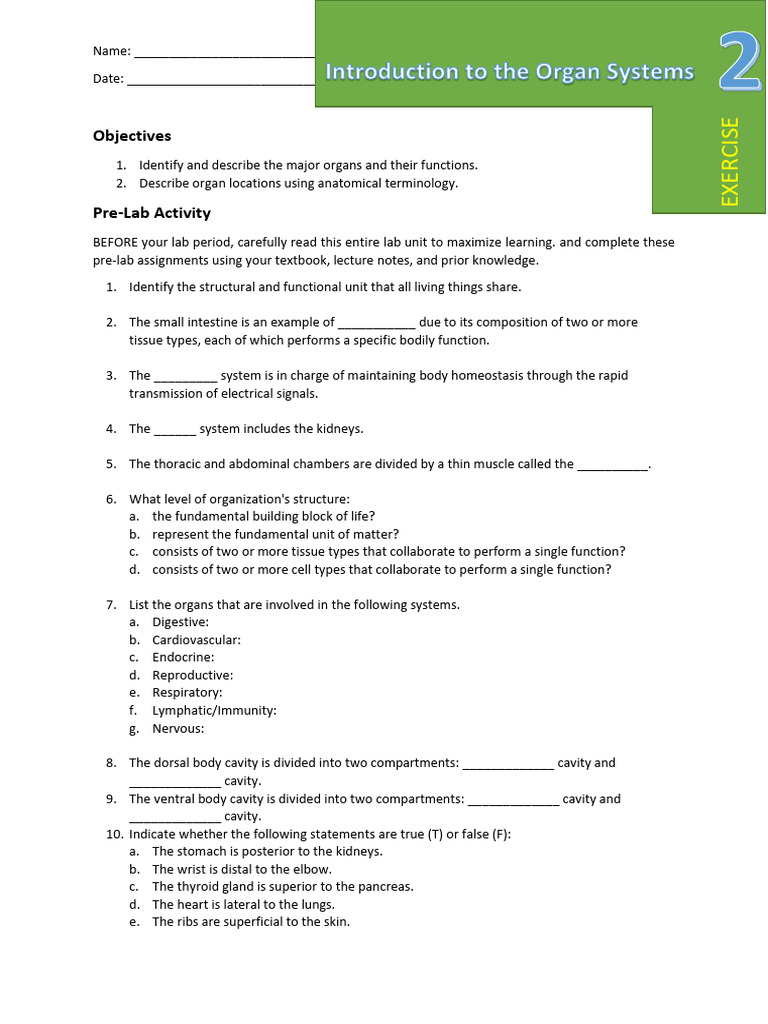 2 Organ Systems | PDF | Human Body | Endocrine System
