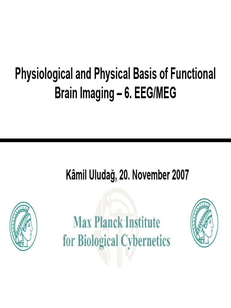 Neurons and EEG | PDF | Excitatory Postsynaptic Potential | Inhibitory Postsynaptic Potential