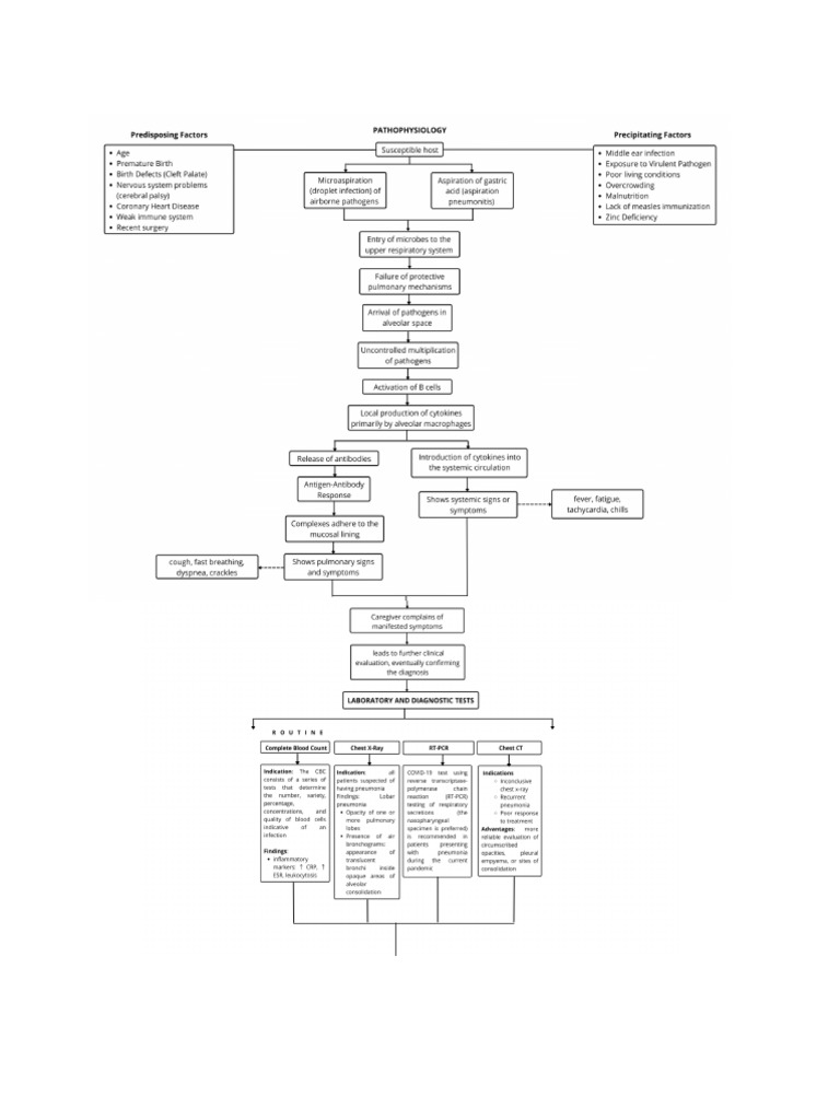 Pneumonia Patho | PDF