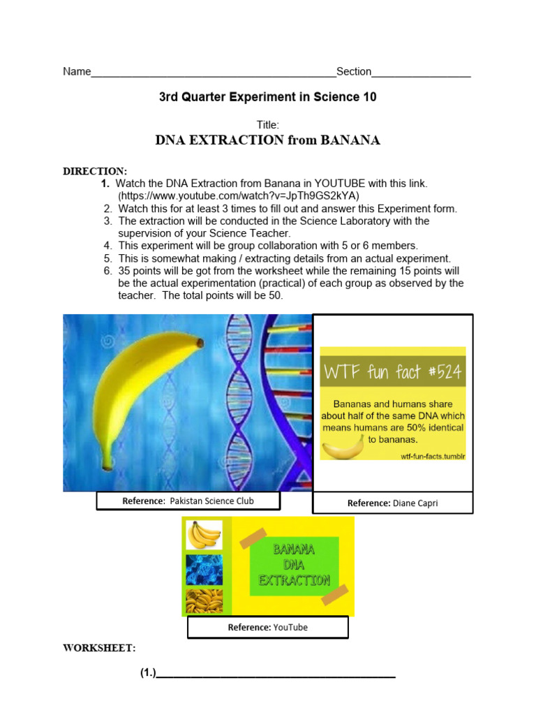 3rd Quarter Experiment in SCIENCE 10 2024 | PDF | Experiment | Science
