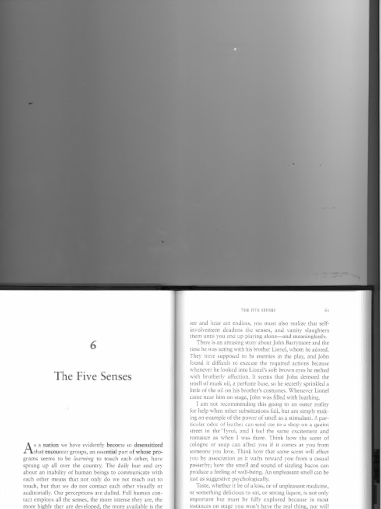 The Five Senses | PDF