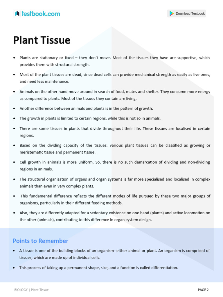 Plant Tissue - Study Notes | Download Free PDF | Tissue (Biology ...