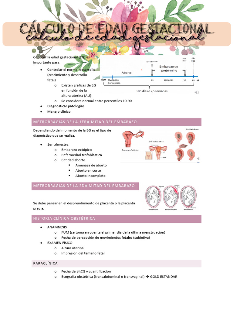 Cálculo de Edad Gestacional | PDF | El embarazo | La salud de la mujer