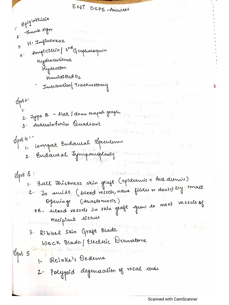 Ent Ospe Answers | PDF