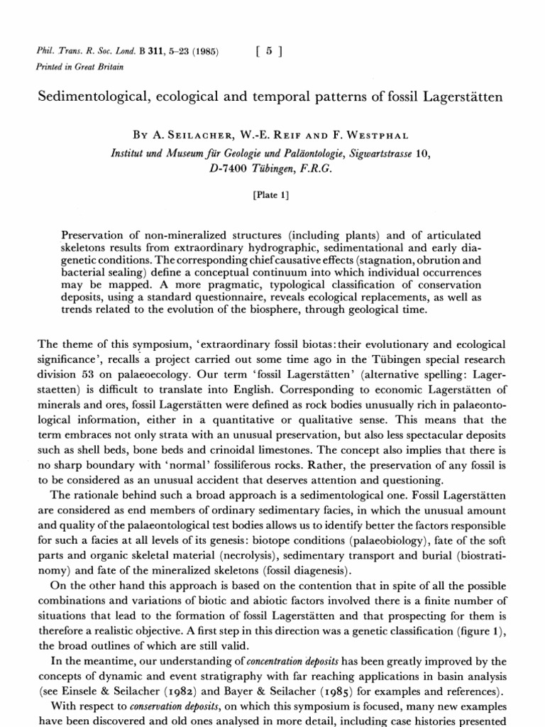 Patterns of Fossil Lagerstätten | PDF | Fossil | Sedimentary Rock