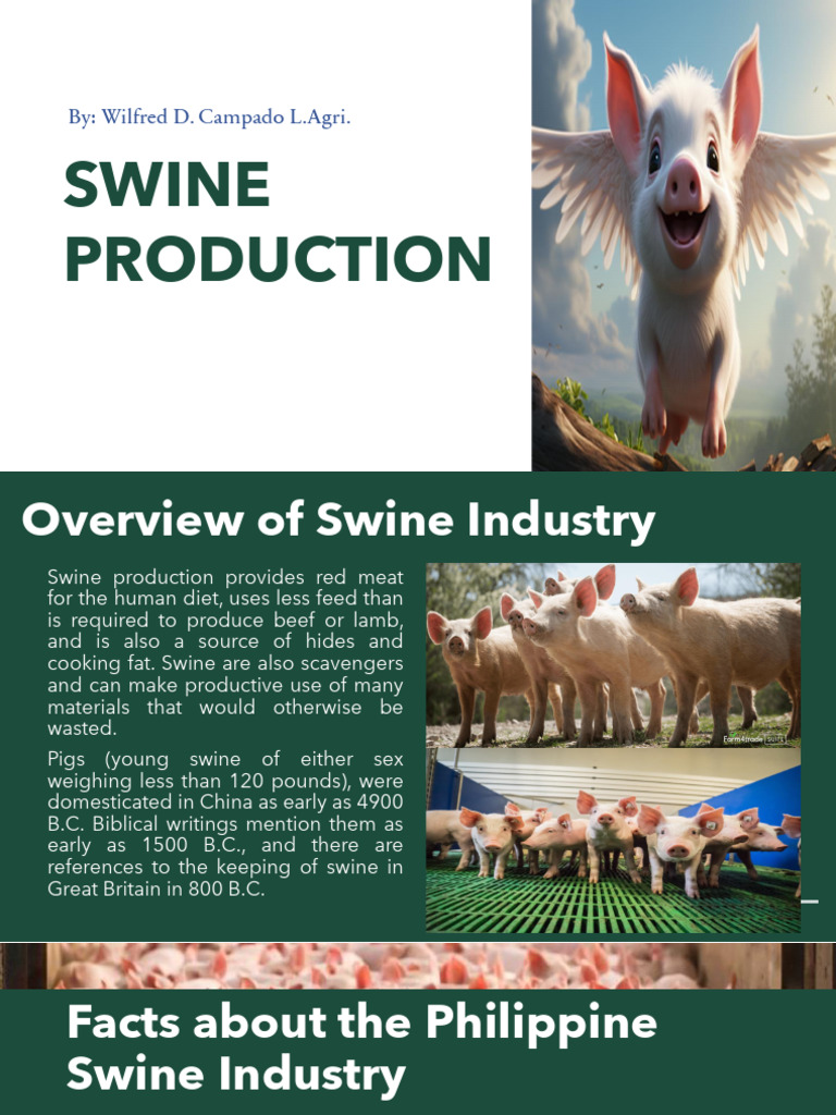 Swine Production Guide | PDF | Pig | Ethnobiology