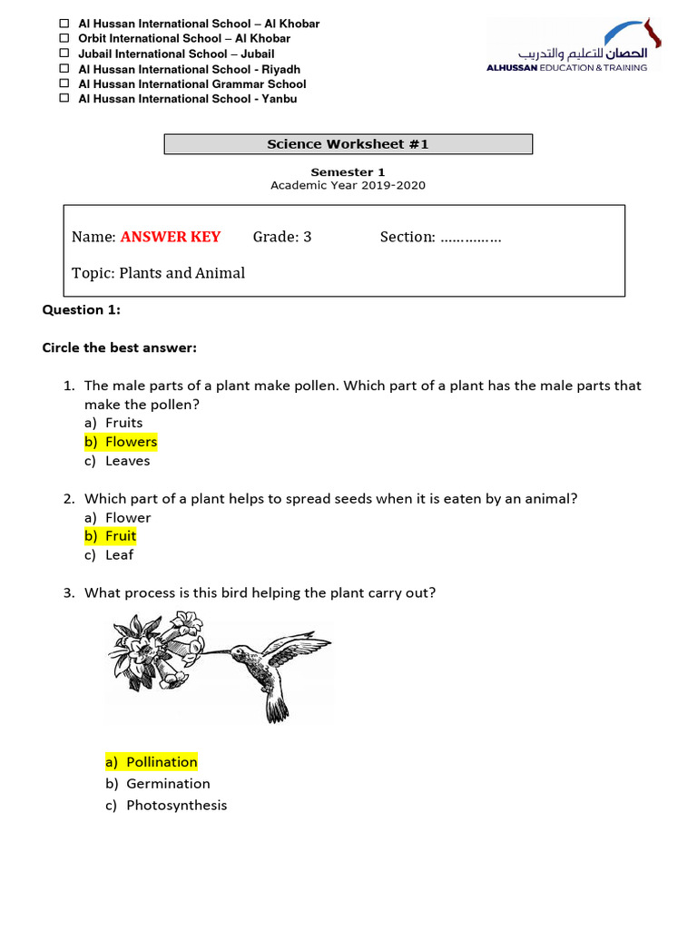 Science Grade 3 Worksheet-Answer-Key | PDF | Seed | Plants