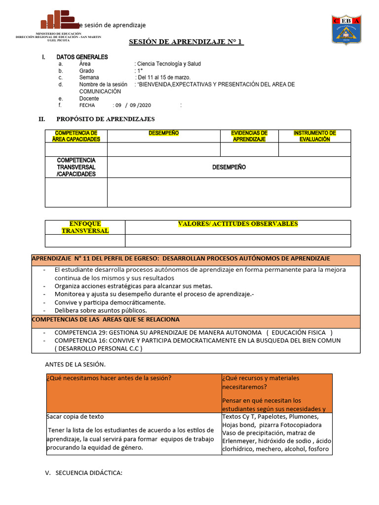 SESION | PDF | Maestros | Aprendizaje