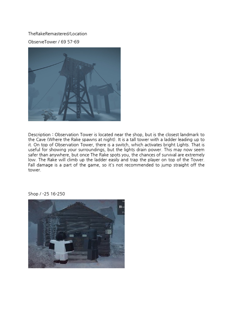 The Rake Remastered | PDF | Computers | Technology & Engineering