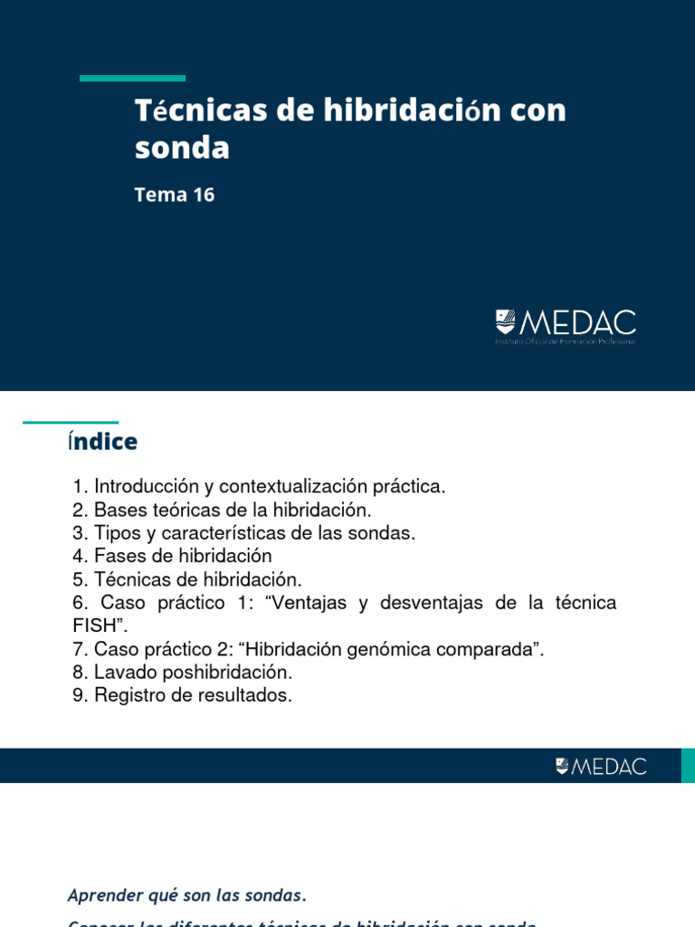 BMC+16 +Técnicas+de+Hibridación+Con+Sonda | Descargar gratis PDF ...