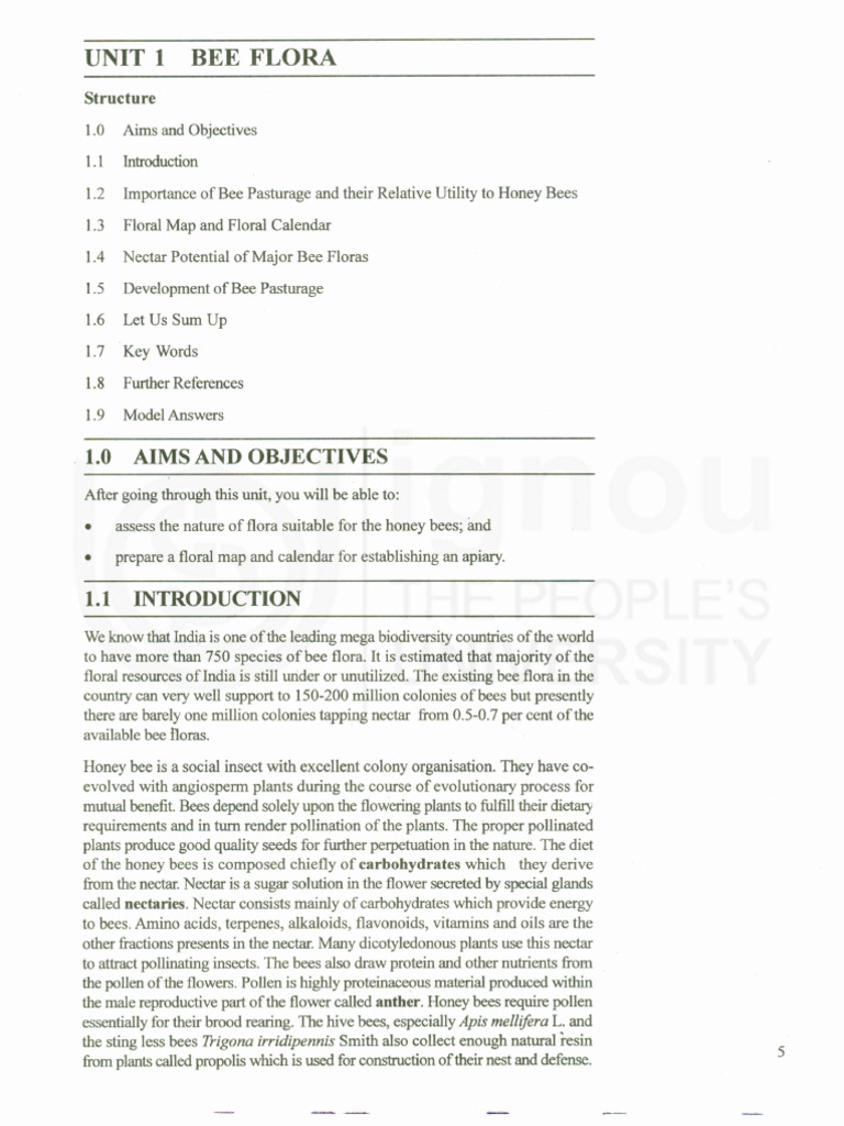 Unit-1 | PDF | Honey Bee | Honey