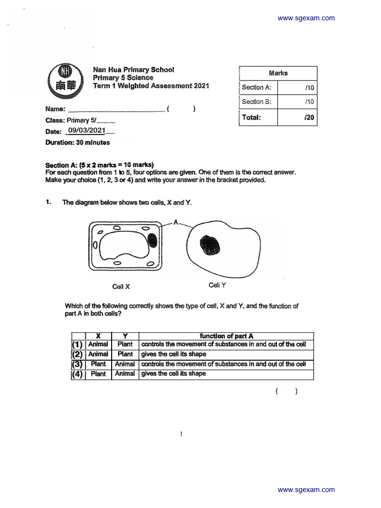 2021-P5-Science-Weighted Assessment 1-Nan Hua | PDF | Leaf | Plants