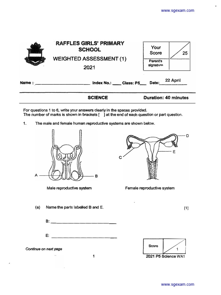 2021-P5-Science-Weighted Assessment 1-Raffles | PDF | Fertilisation ...