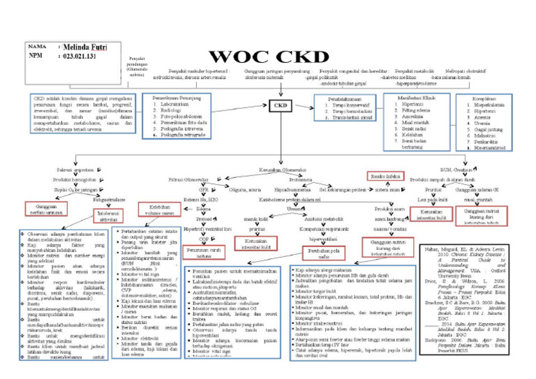 WOC CKD ON HD 1 | PDF