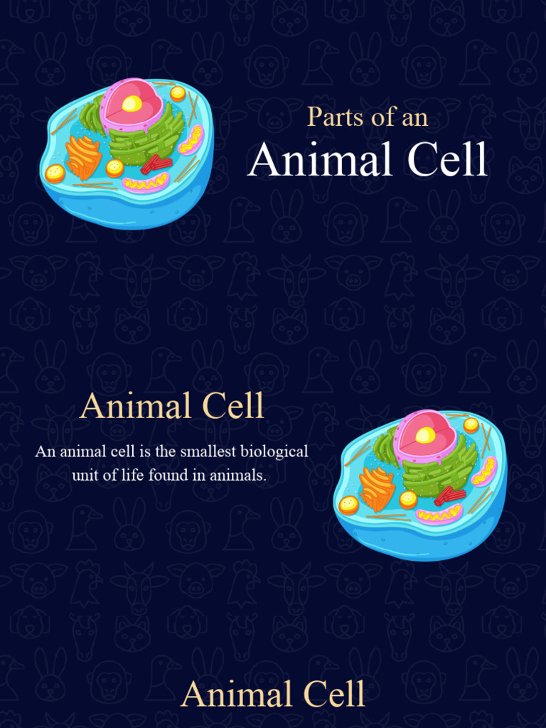 Blue and White Illustrative Parts of Animal Cell Presentation | PDF