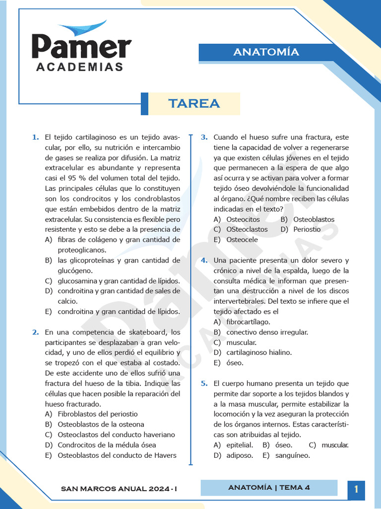 ANATOMÍA_Tarea Sem 5 | PDF | Hueso | Tejido conectivo