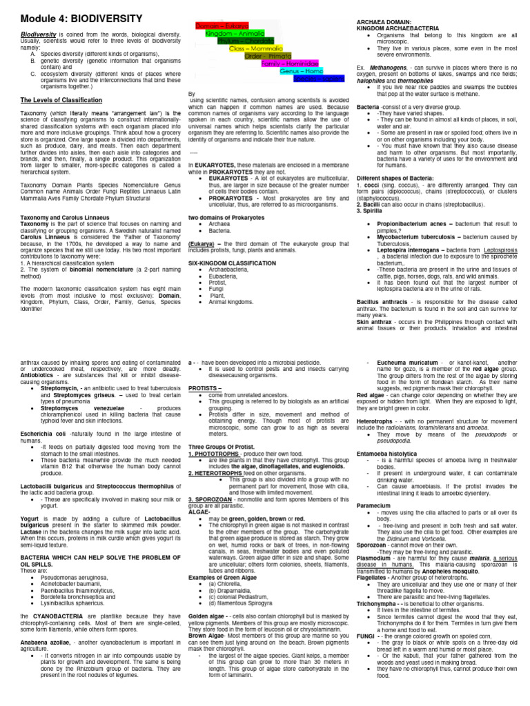 Module 4 Biodiversity | PDF | Bacteria | Sponge